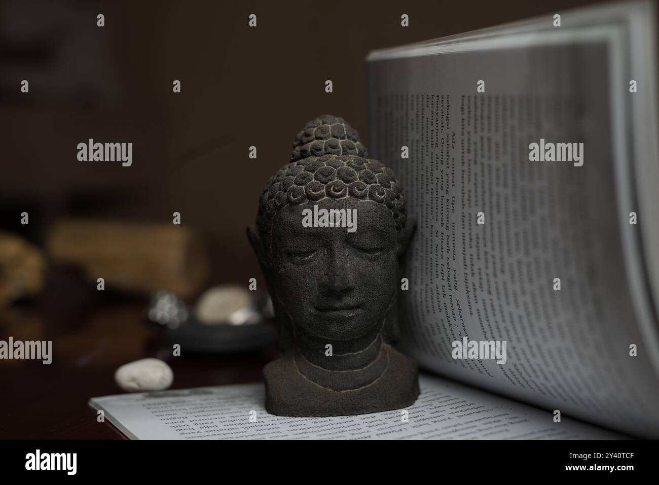 photographing a buddha statue named Siddhartha Gautama which is the ...