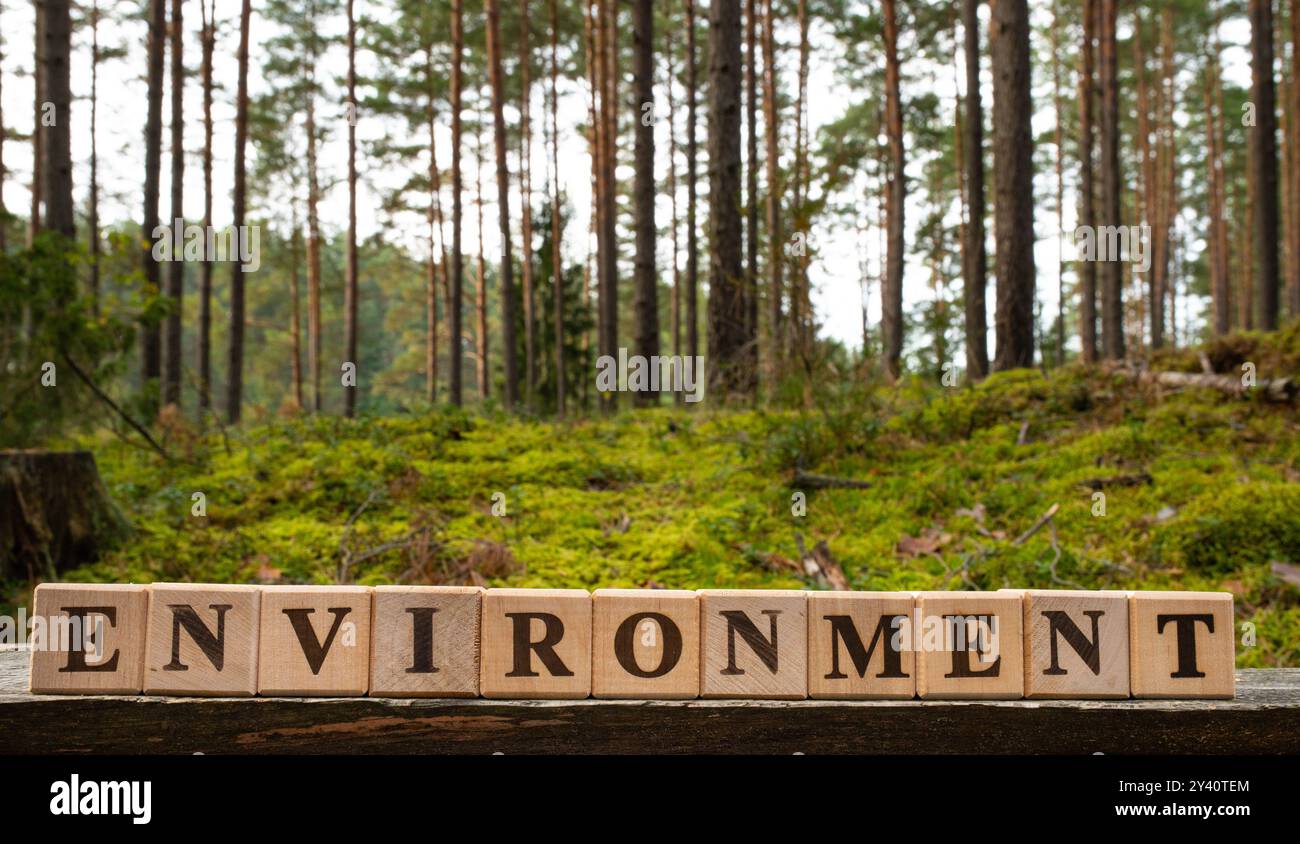 World Environment Day, World Climate Change Day, Clean Air Day ...