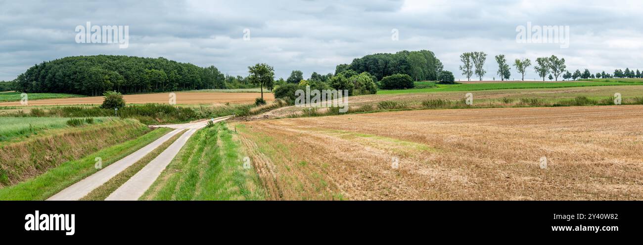 Winding road through the harvested fields and hills at the Flemish ...