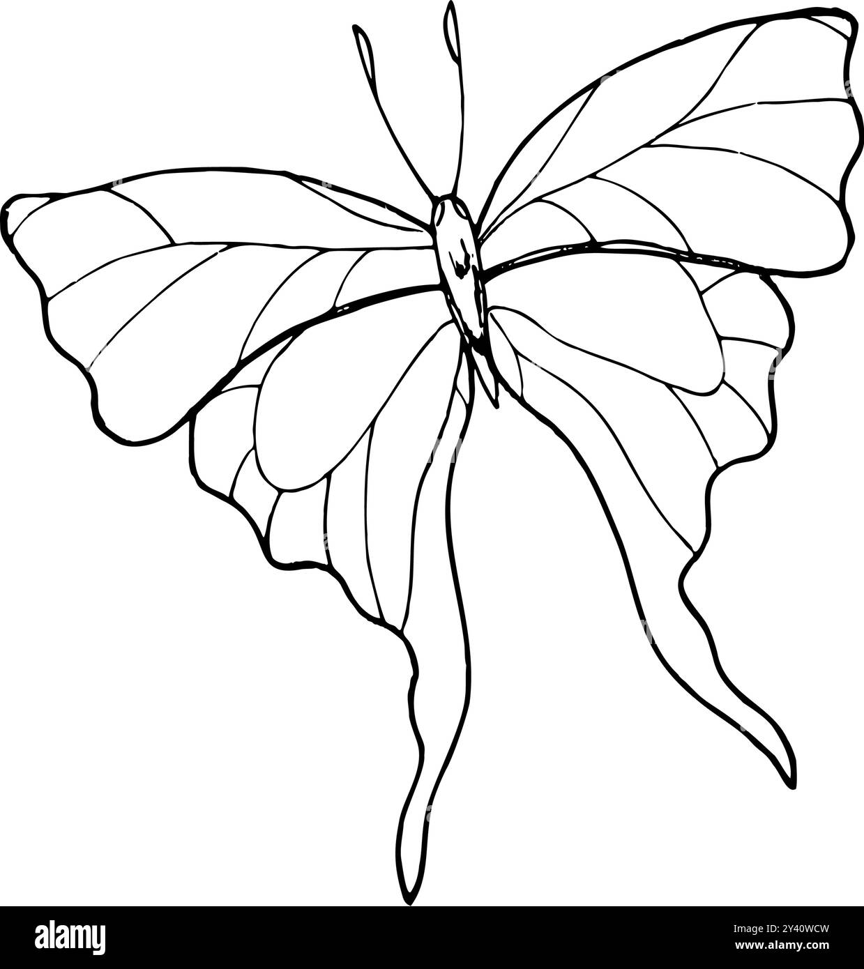 Fluttering delicate butterfly vector isolated illustration. Abstract ...