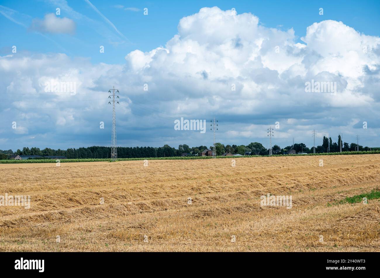 Colorful agriculture fields and blue sky at the Flemish countryside in ...
