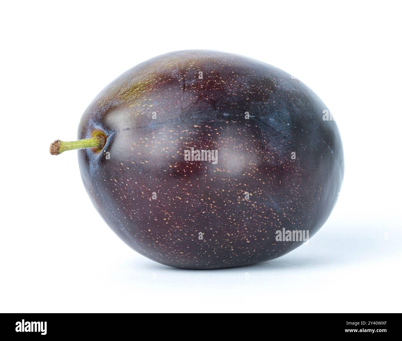 plum fruit isolated on white background Stock Photo - Alamy