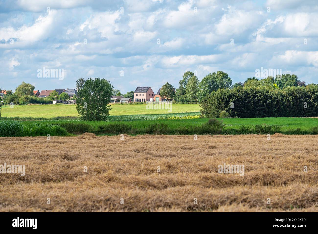 Colorful agriculture fields and blue sky at the Flemish countryside in ...