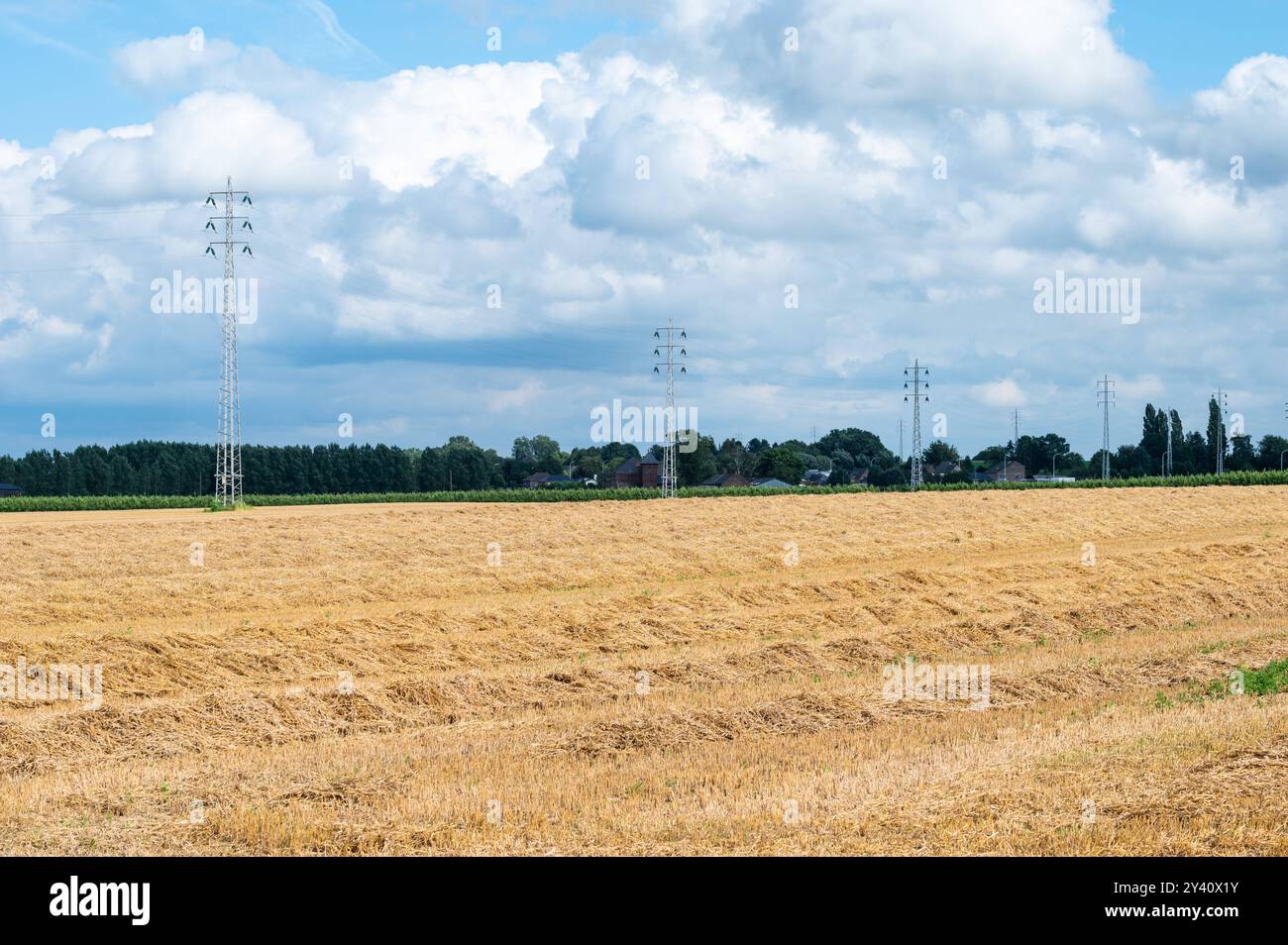 Colorful agriculture fields and blue sky at the Flemish countryside in ...
