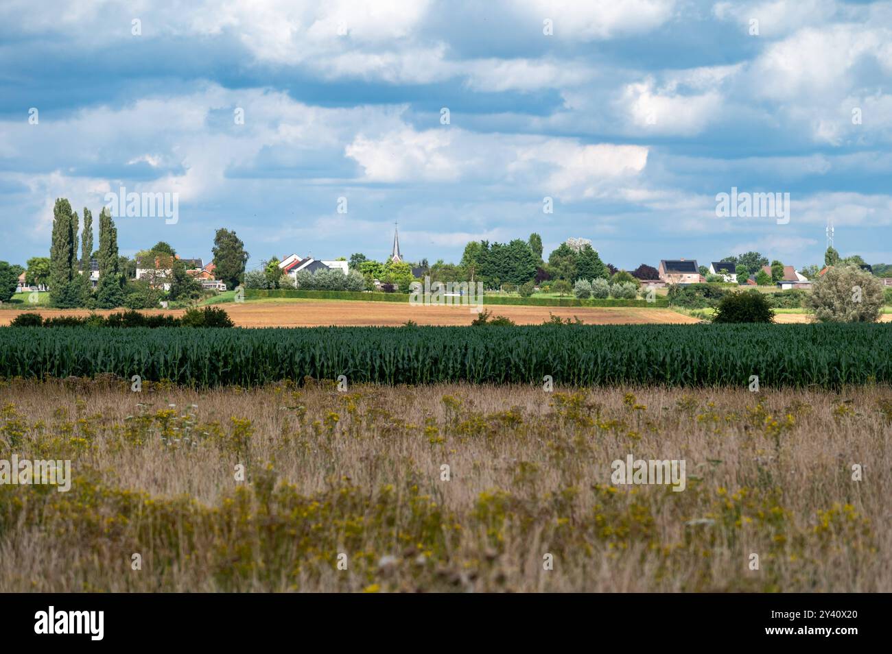 Colorful agriculture fields and blue sky at the Flemish countryside in ...