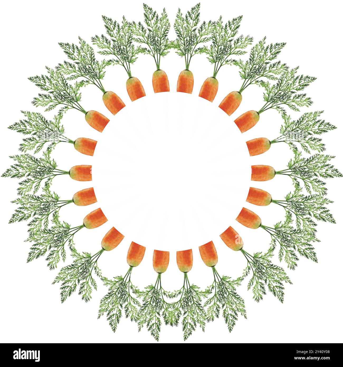 Round frame, carrot wreath watercolor illustration. On a white ...
