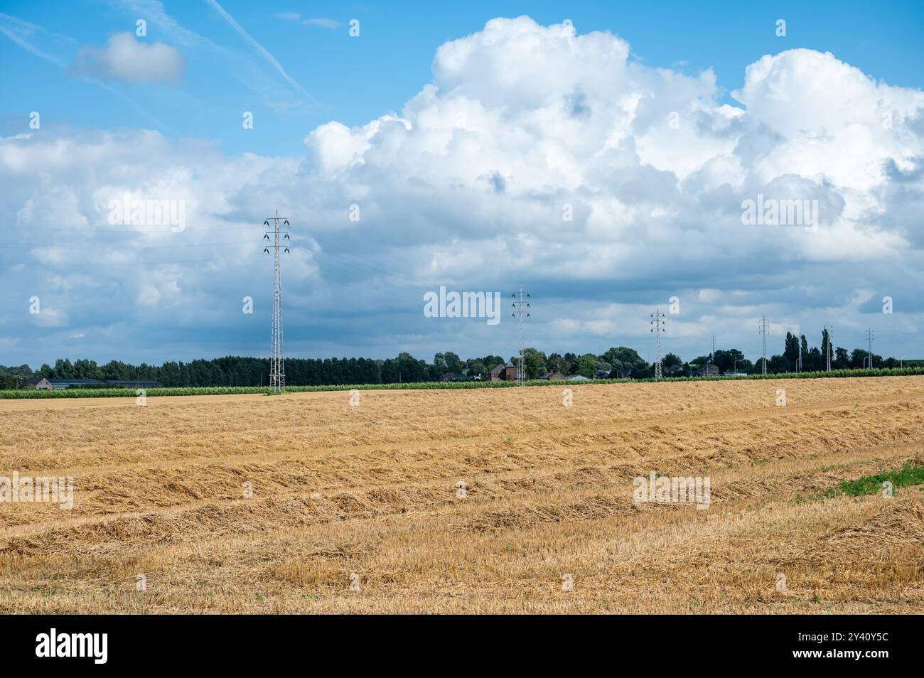Colorful agriculture fields and blue sky at the Flemish countryside in ...