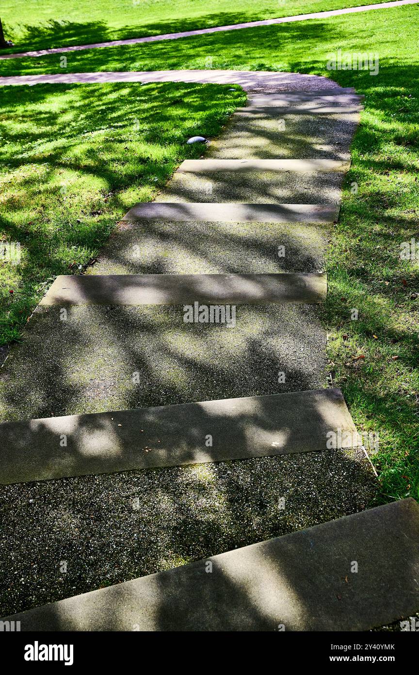 Shadows of trees on curving concrete steps Stock Photo - Alamy