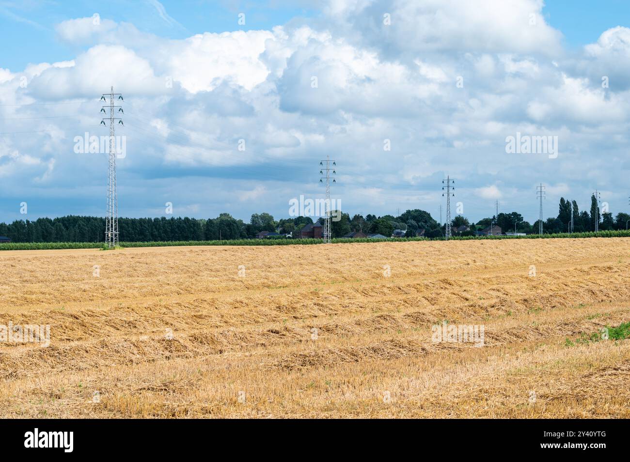 Colorful agriculture fields and blue sky at the Flemish countryside in ...