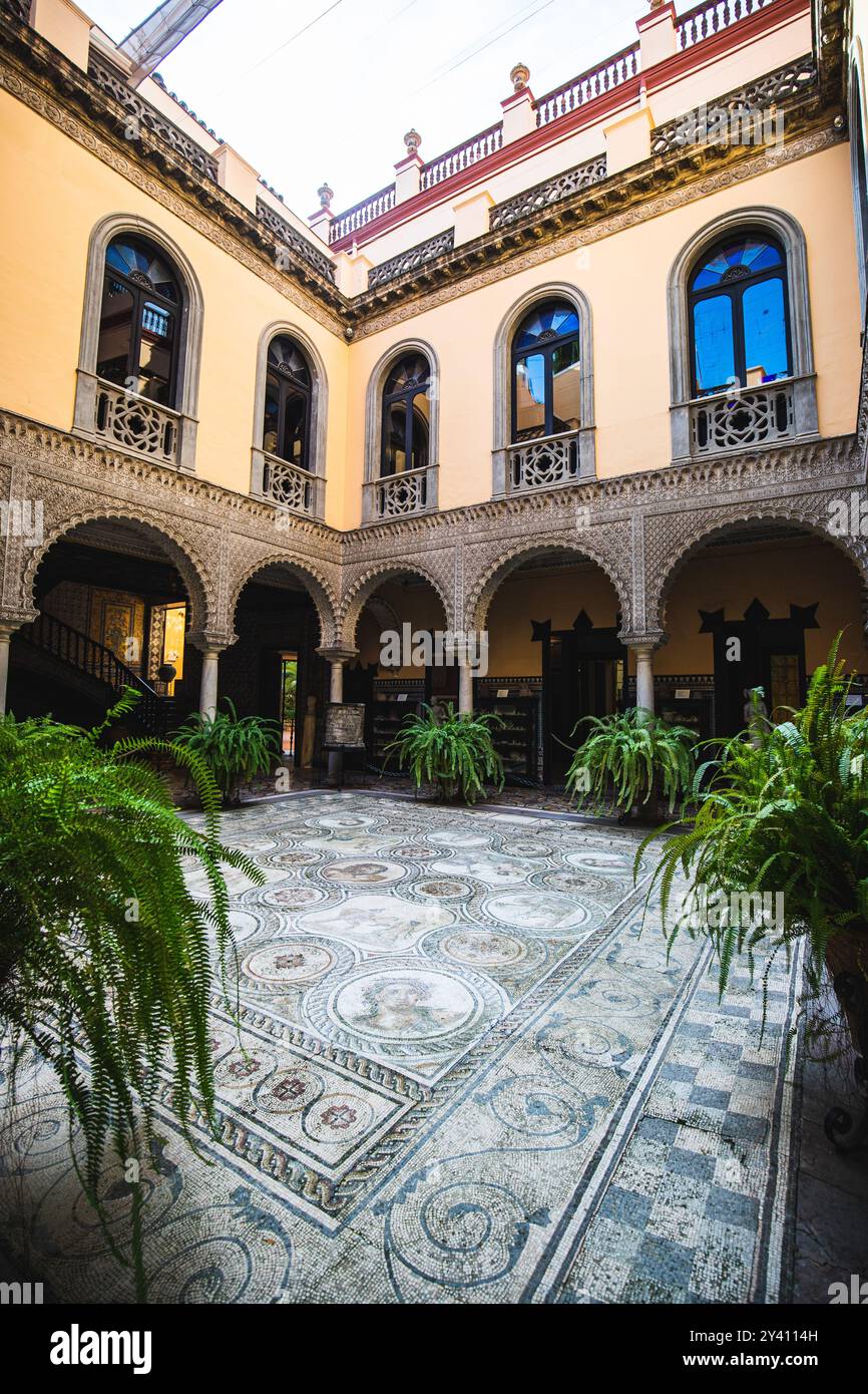 Inner courtyard with palm trees and flower pots and columns, Seville ...