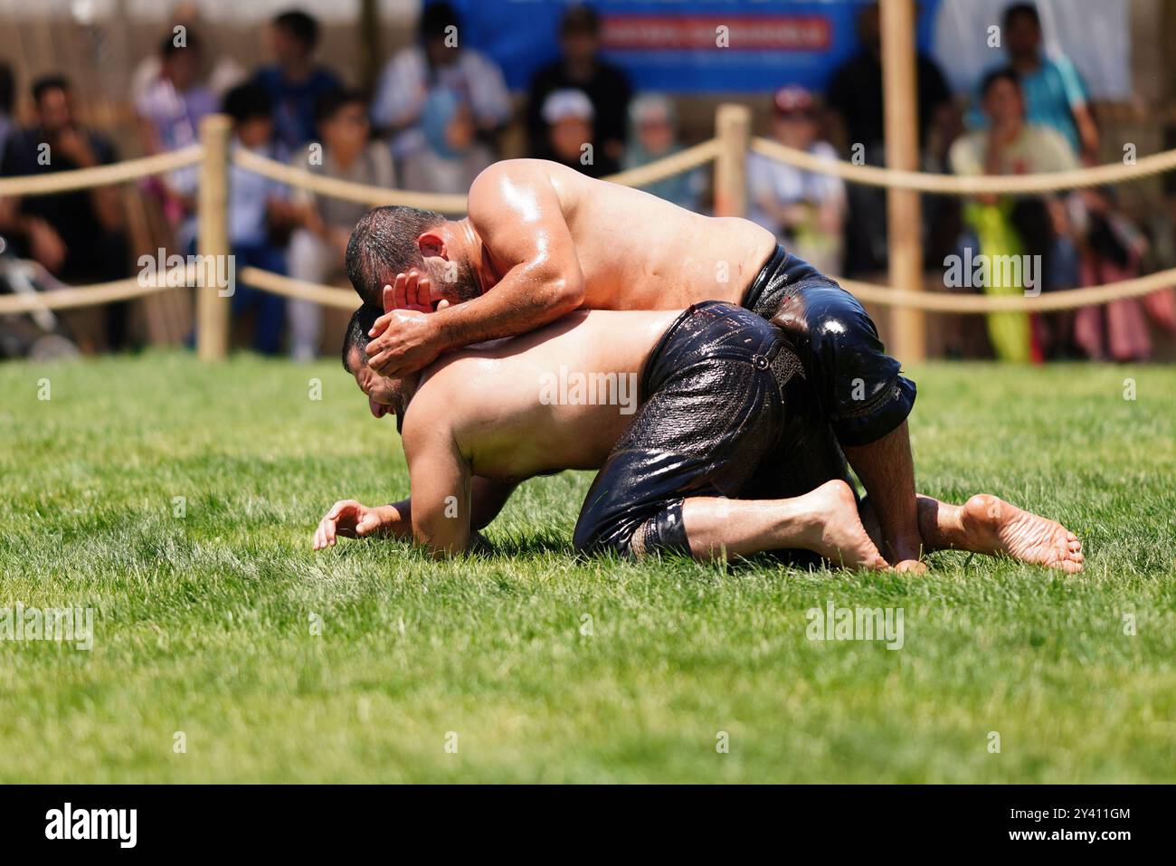 ISTANBUL, TURKIYE - JUNE 08, 2024: Oil wrestlers compete during ...