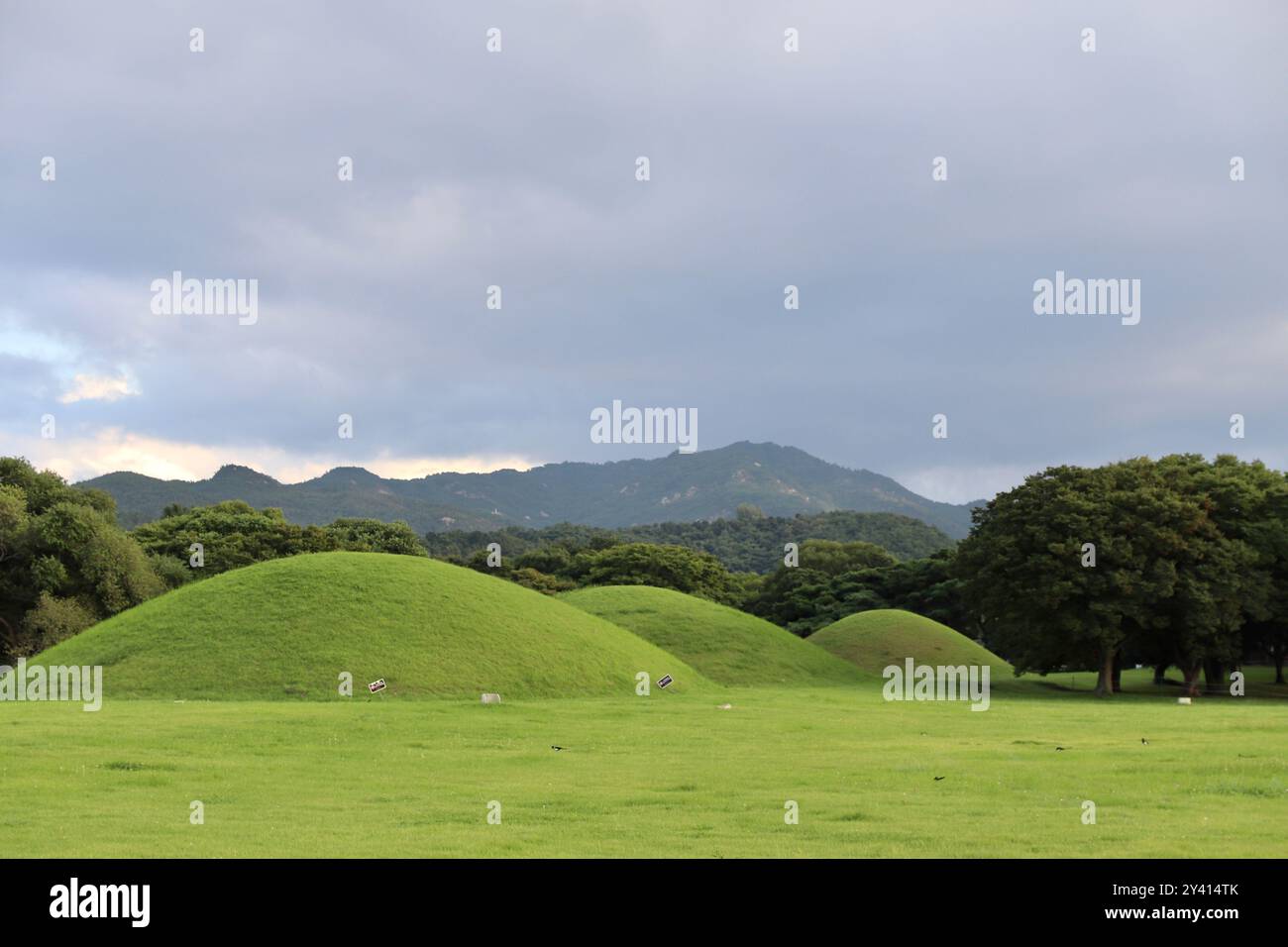 Ancient Korean Burial Mounds at Daereungwon Tomb Complex in a Verdant ...