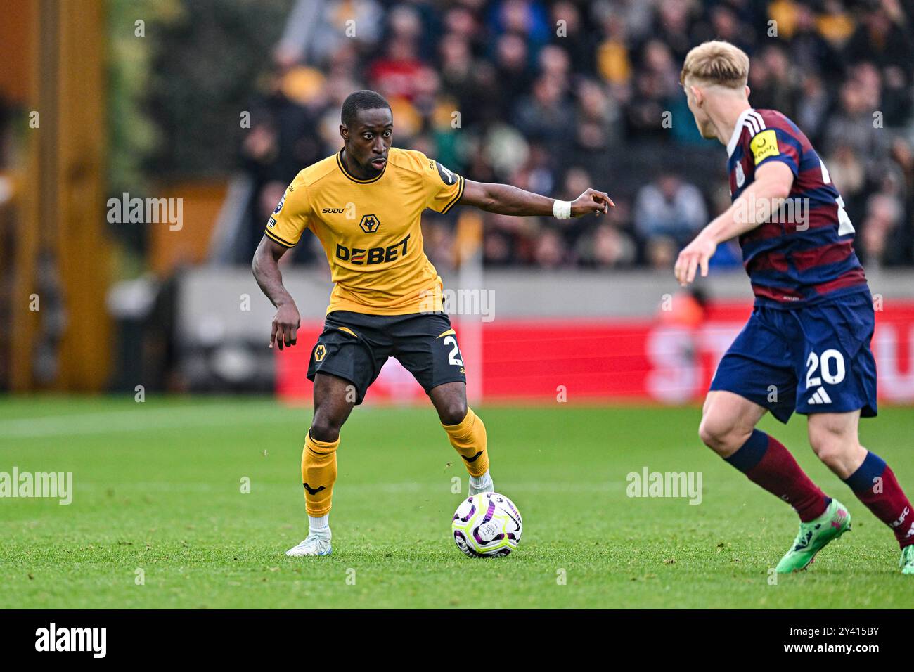 Forbs hi-res stock photography and images - Alamy