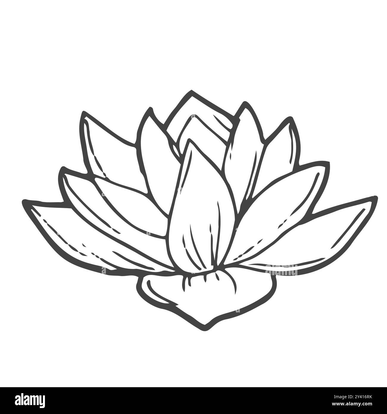 Floral lines lotus flower Black and White Stock Photos & Images - Alamy