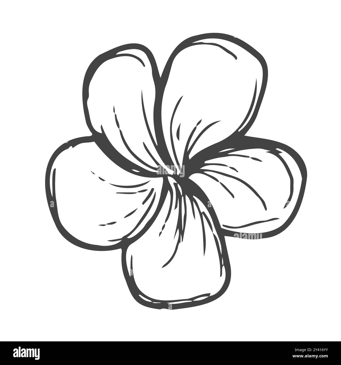 Flower Clip Art Black And White Outline 83,000+ Black And White Flower