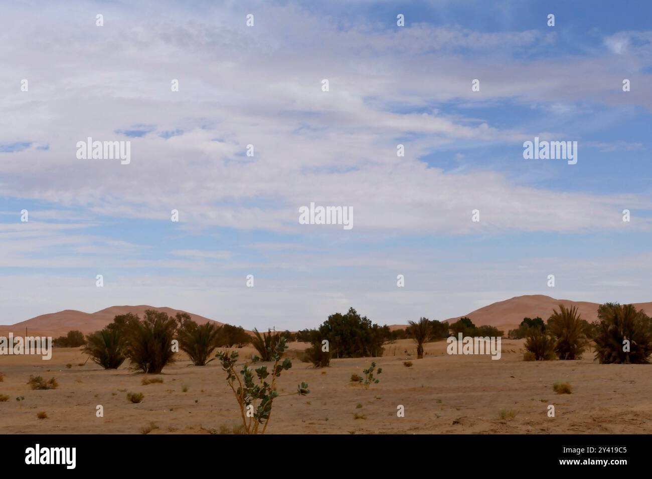 Merzouga, the gateway to the Sahara desert in the province of Al ...