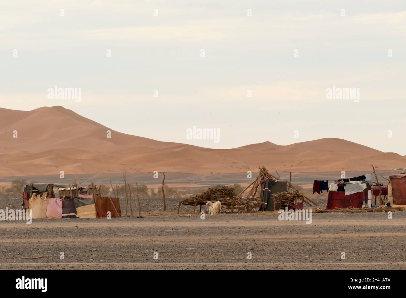 Merzouga, the gateway to the Sahara desert in the province of Al ...