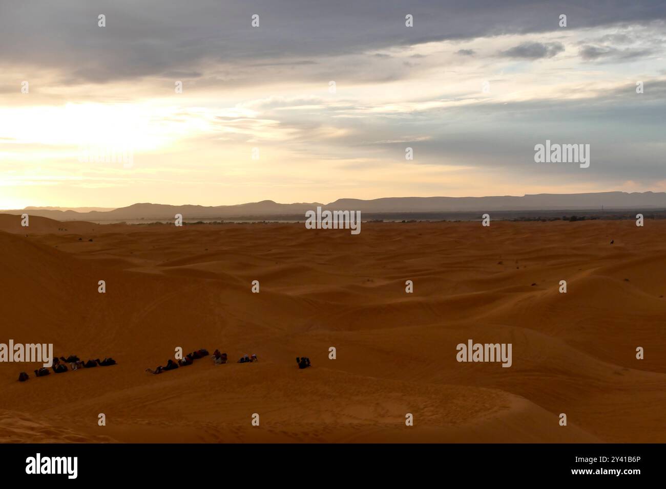 Merzouga, the gateway to the Sahara desert in the province of Al ...