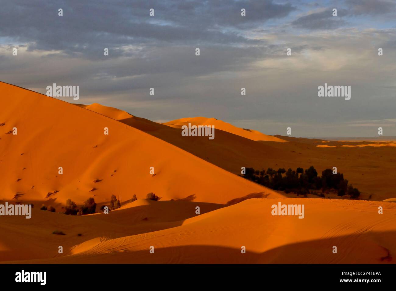 Merzouga, the gateway to the Sahara desert in the province of Al ...