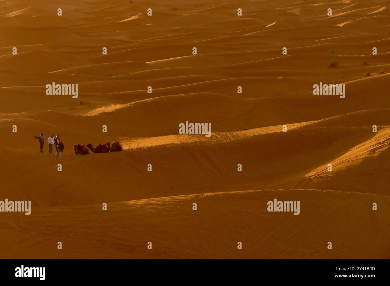 Merzouga, the gateway to the Sahara desert in the province of Al ...