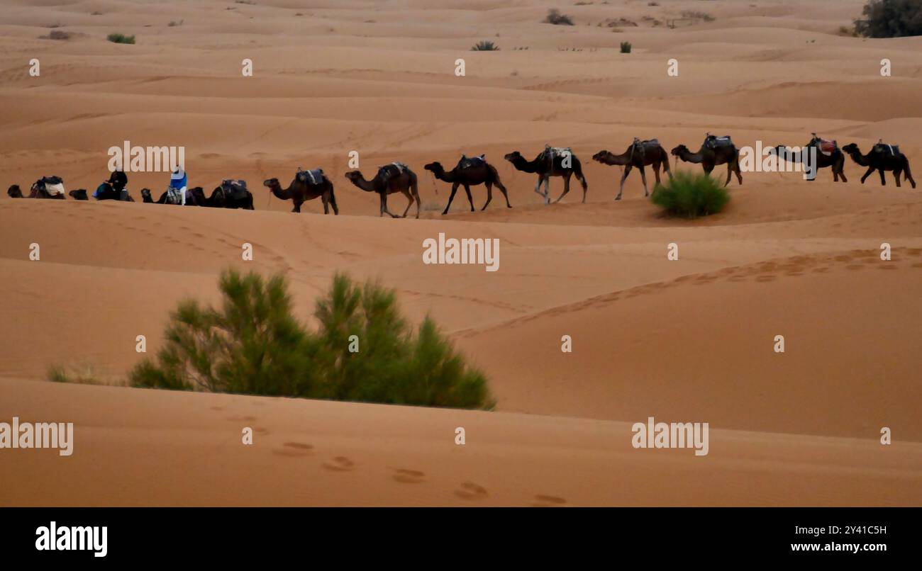 Merzouga, the gateway to the Sahara desert in the province of Al ...