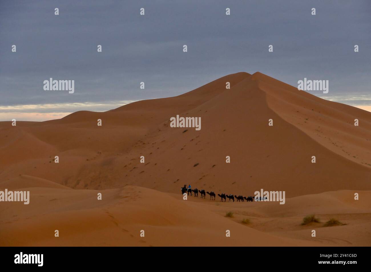 Merzouga, the gateway to the Sahara desert in the province of Al ...