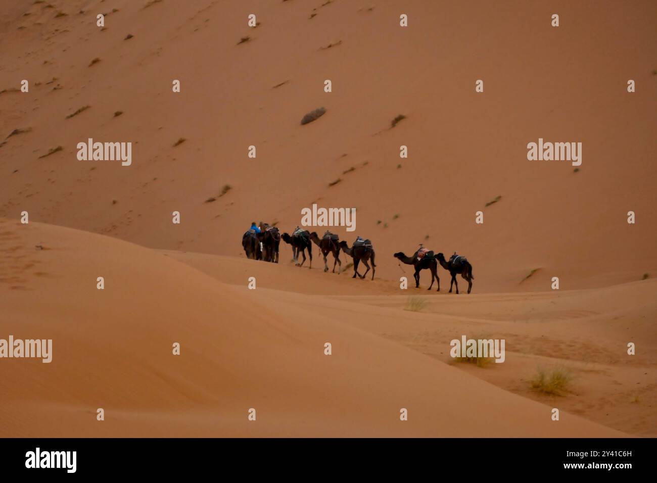 Merzouga, the gateway to the Sahara desert in the province of Al ...