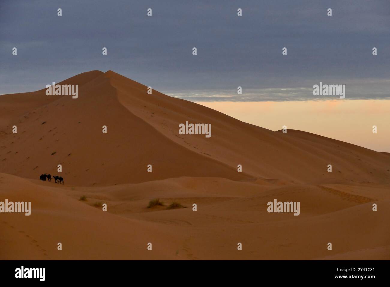 Merzouga, the gateway to the Sahara desert in the province of Al ...