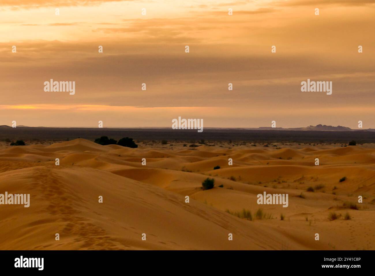 Merzouga, the gateway to the Sahara desert in the province of Al ...