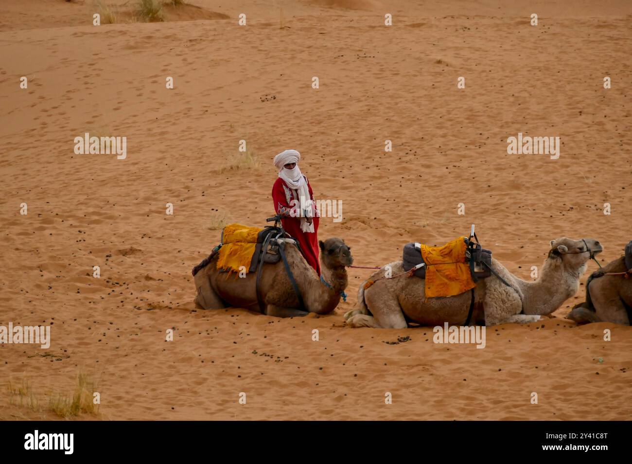 Merzouga, the gateway to the Sahara desert in the province of Al ...