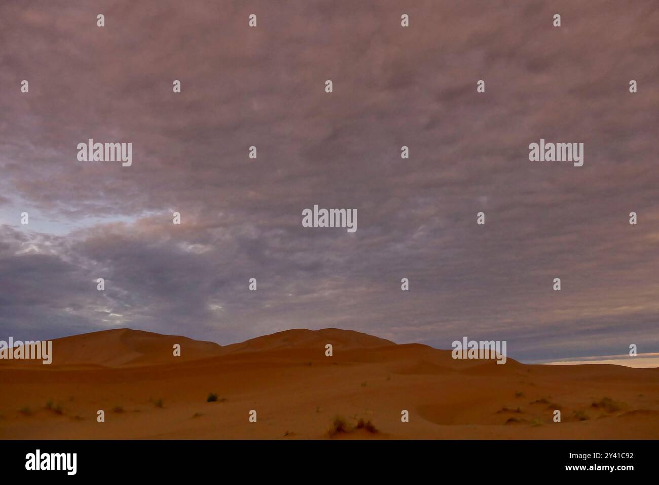 Merzouga, the gateway to the Sahara desert in the province of Al ...