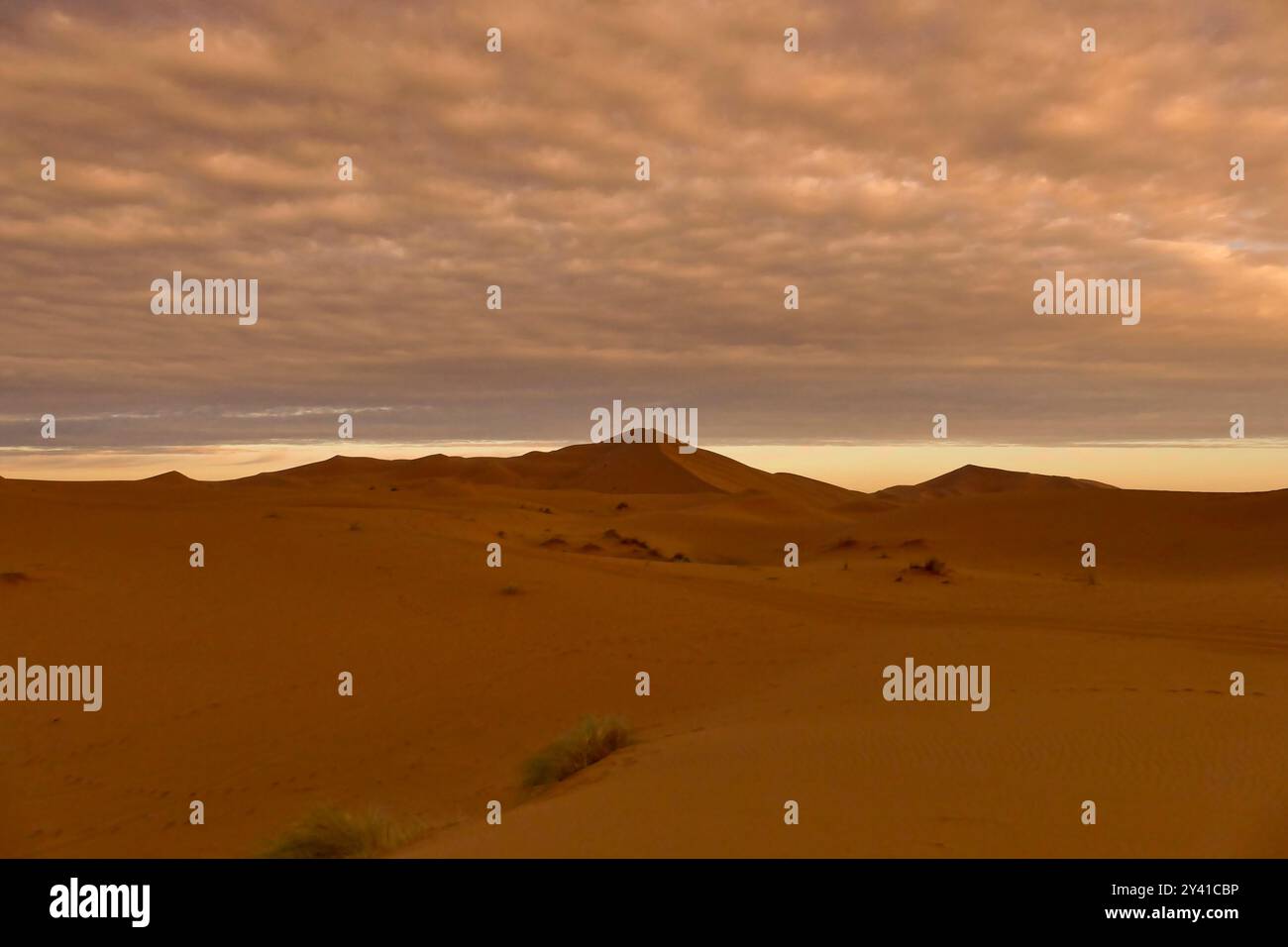 Merzouga, the gateway to the Sahara desert in the province of Al ...