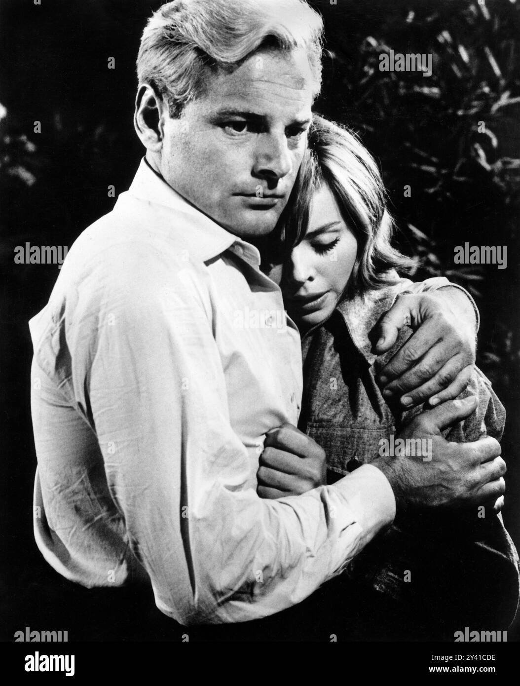 Werewolf in a girls hi-res stock photography and images - Alamy