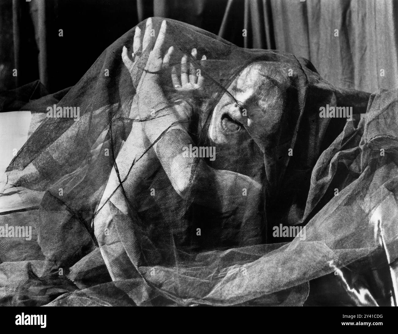 Elizabeth Shepherd, on-set of the film, "the Tomb Of Ligeia", Anglo ...