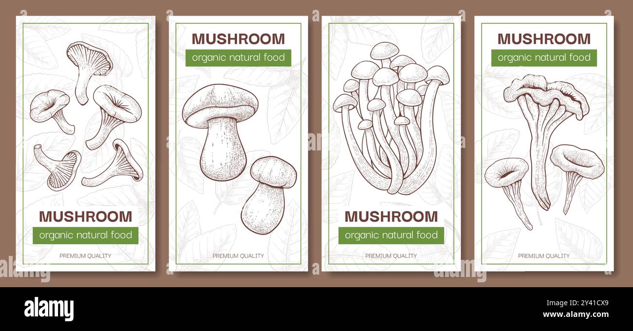Mushroom poster. Organic natural product packaging design. Premium ...
