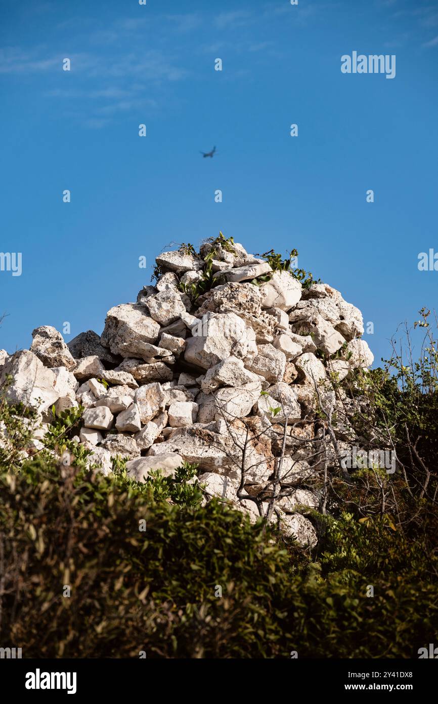 Old, overgrown drywall, dividing land on the shore of Punta Planka ...