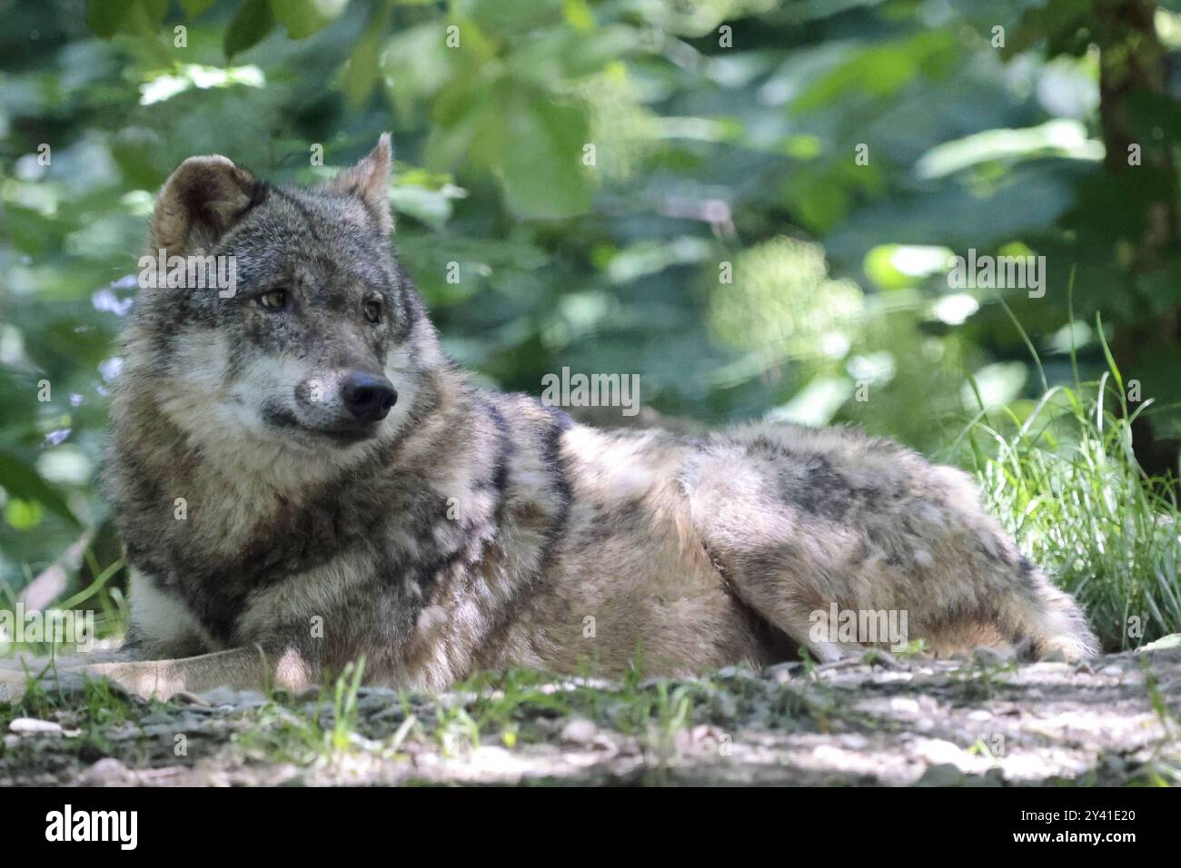15.09.2024, Linz, AUT, Unterwegs in Oberösterreich, Symbolbild ...