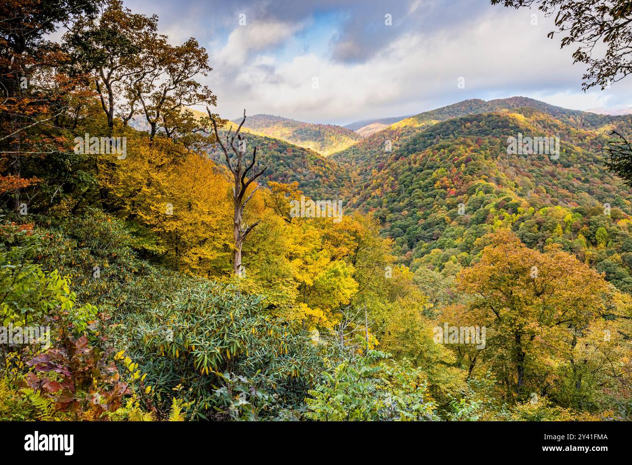 Fall color is busting on the Blue Ridge Parkway in Oct 2022 Stock Photo ...
