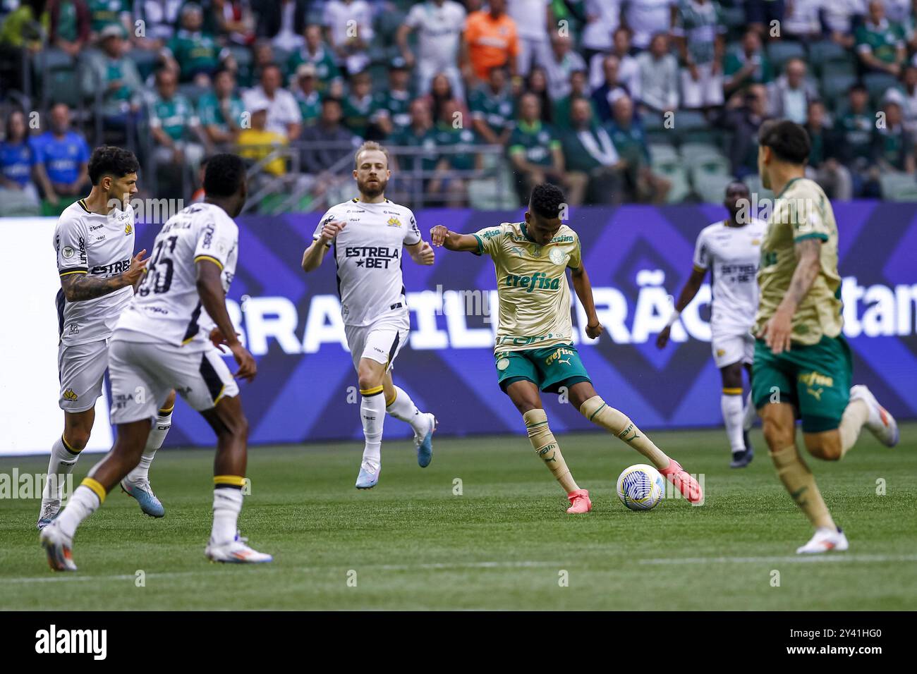 Sao Paulo, Brazil. 15th Sep, 2024. SP - SAO PAULO - 09/15/2024 - BRAZILIAN A 2024, PALMEIRAS x ...