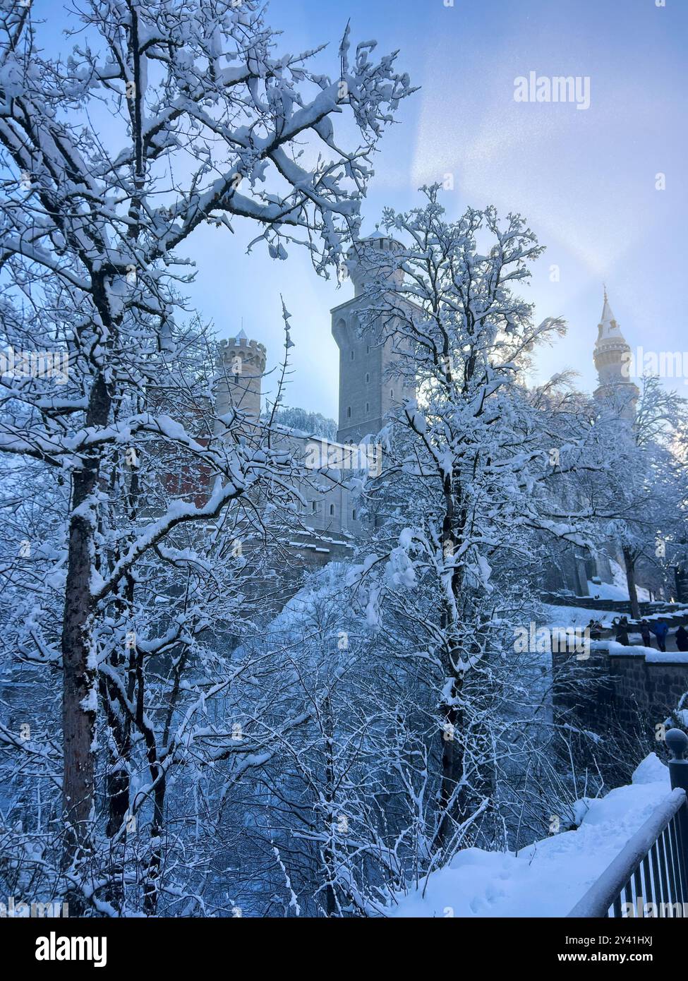 Fussen, Germany. Snow-covered trees, blue sky and a castle on a ...