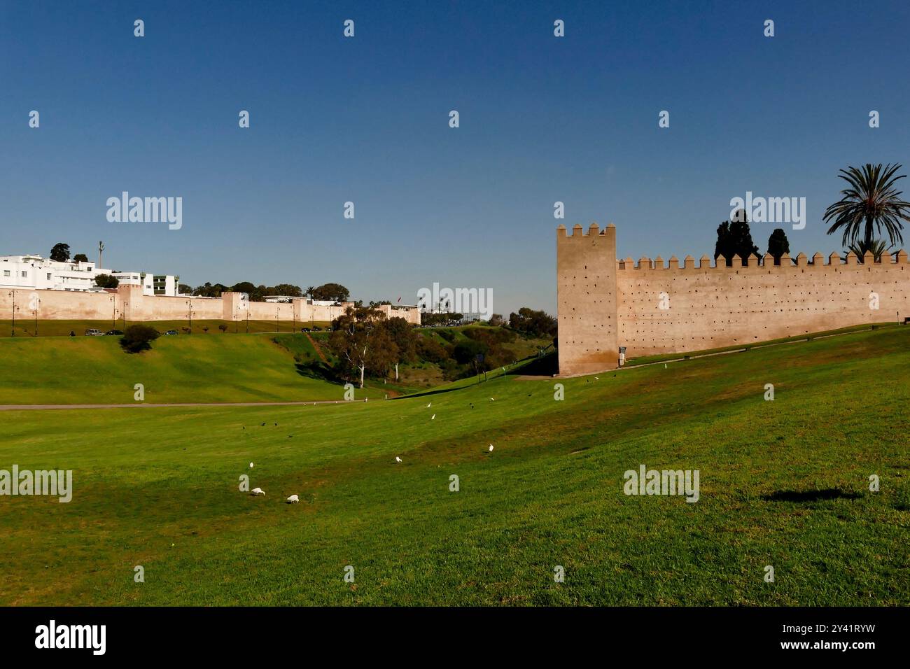El Chellah, Landscaped gardens on the site of an ancient citadel with ...