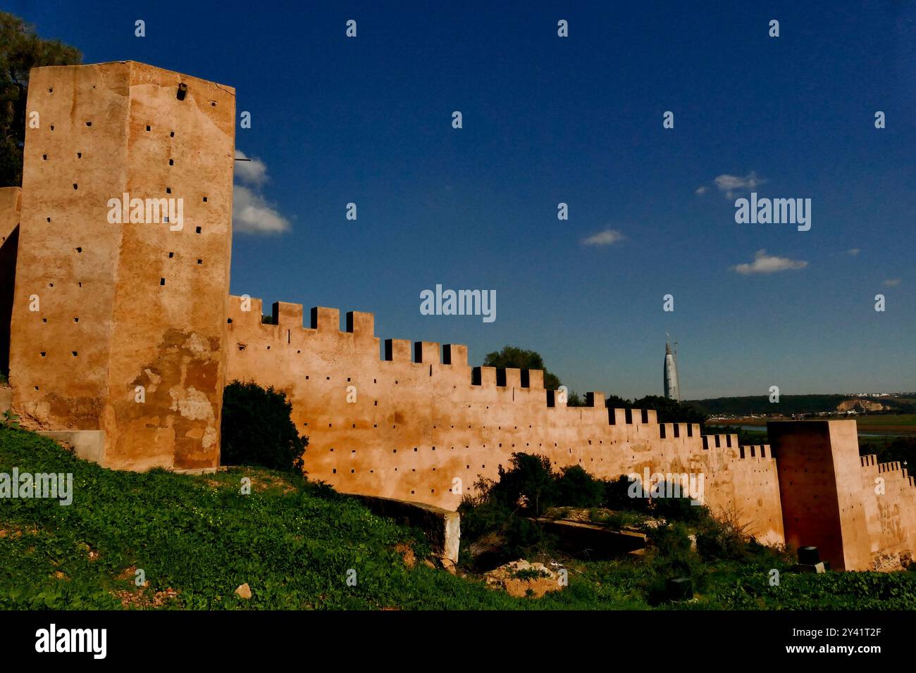El Chellah, Landscaped gardens on the site of an ancient citadel with ...