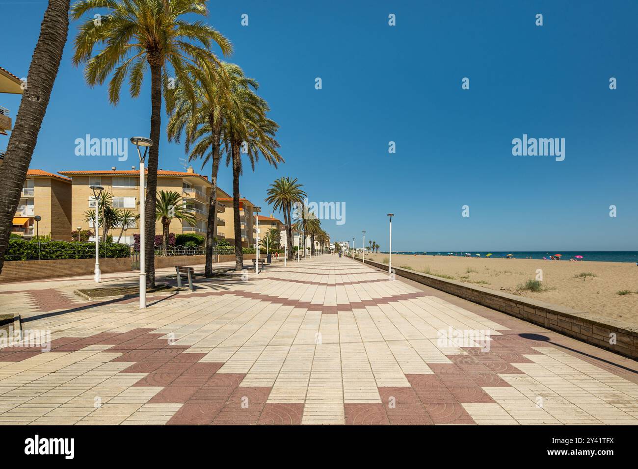 The beautiful and scenic Beach Promenade is lined with tall palm trees ...