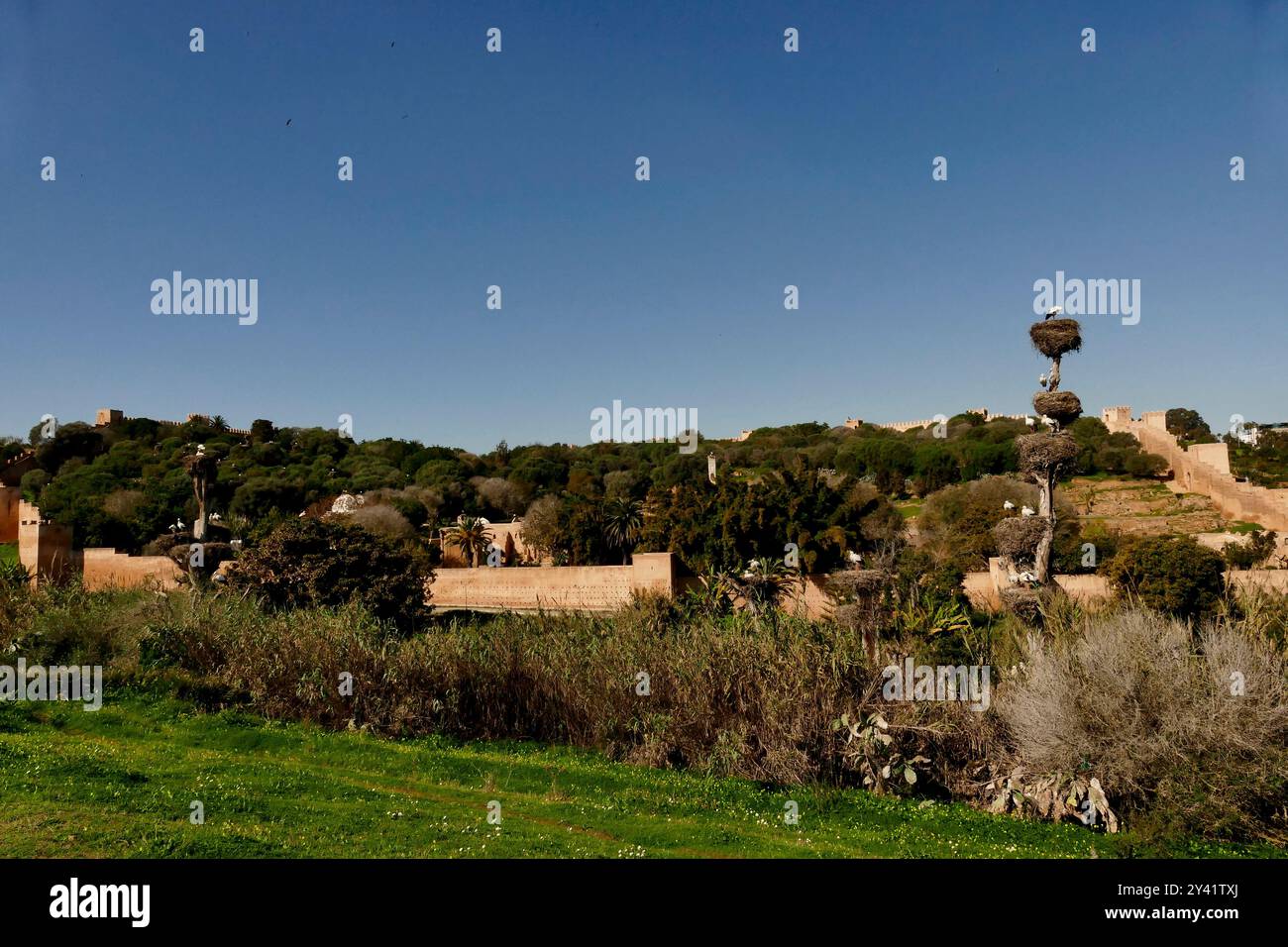 El Chellah, landscaped gardens on the site of an ancient citadel with ...