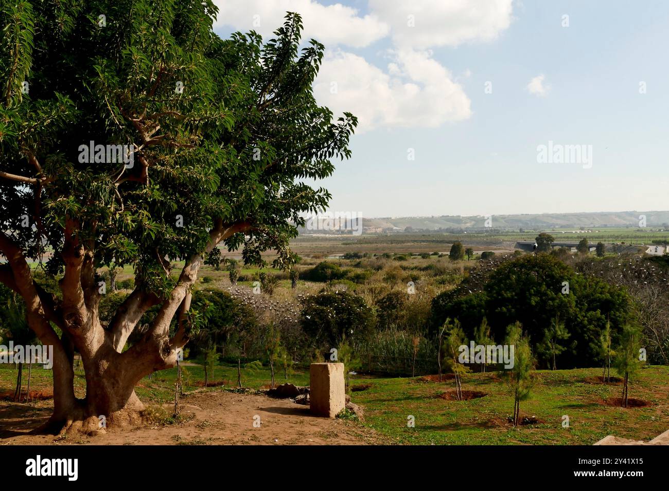 El Chellah, landscaped gardens on the site of an ancient citadel with ...