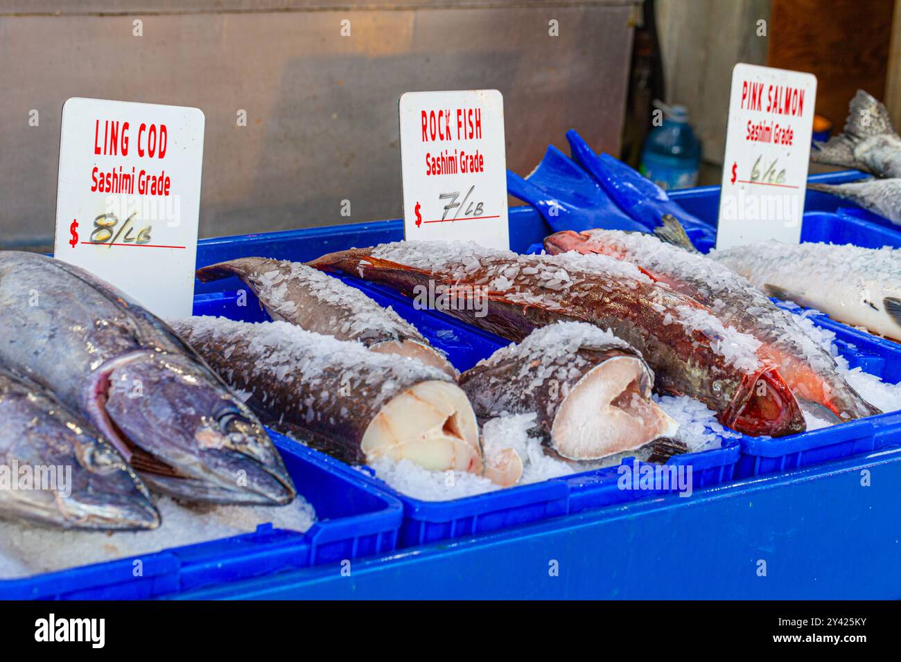 Ling fish hi-res stock photography and images - Alamy