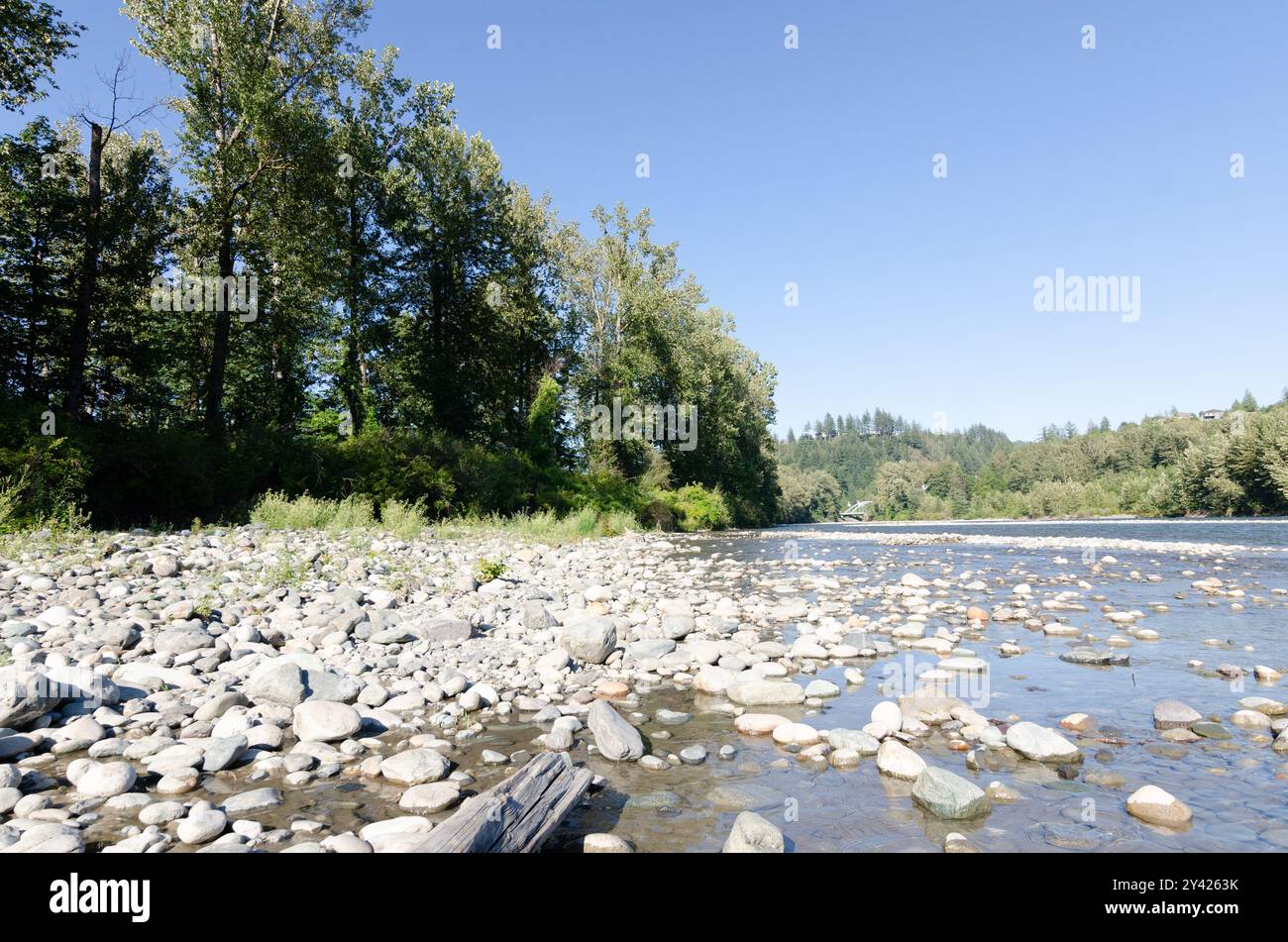 Mesmerizing view of the Vedder River winding through Chilliwack ...