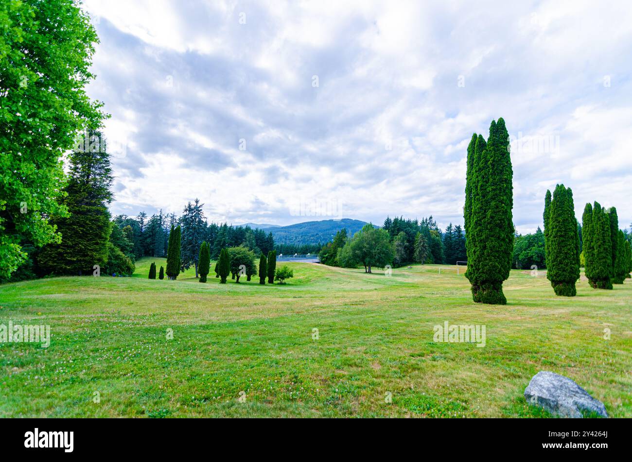 Landscaping with trimmed green lawn and pencil pine trees Stock Photo ...