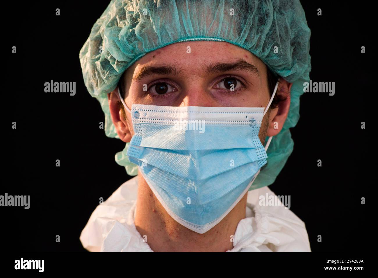 scientific examination and analysis in a hygiene laboratory in a ...