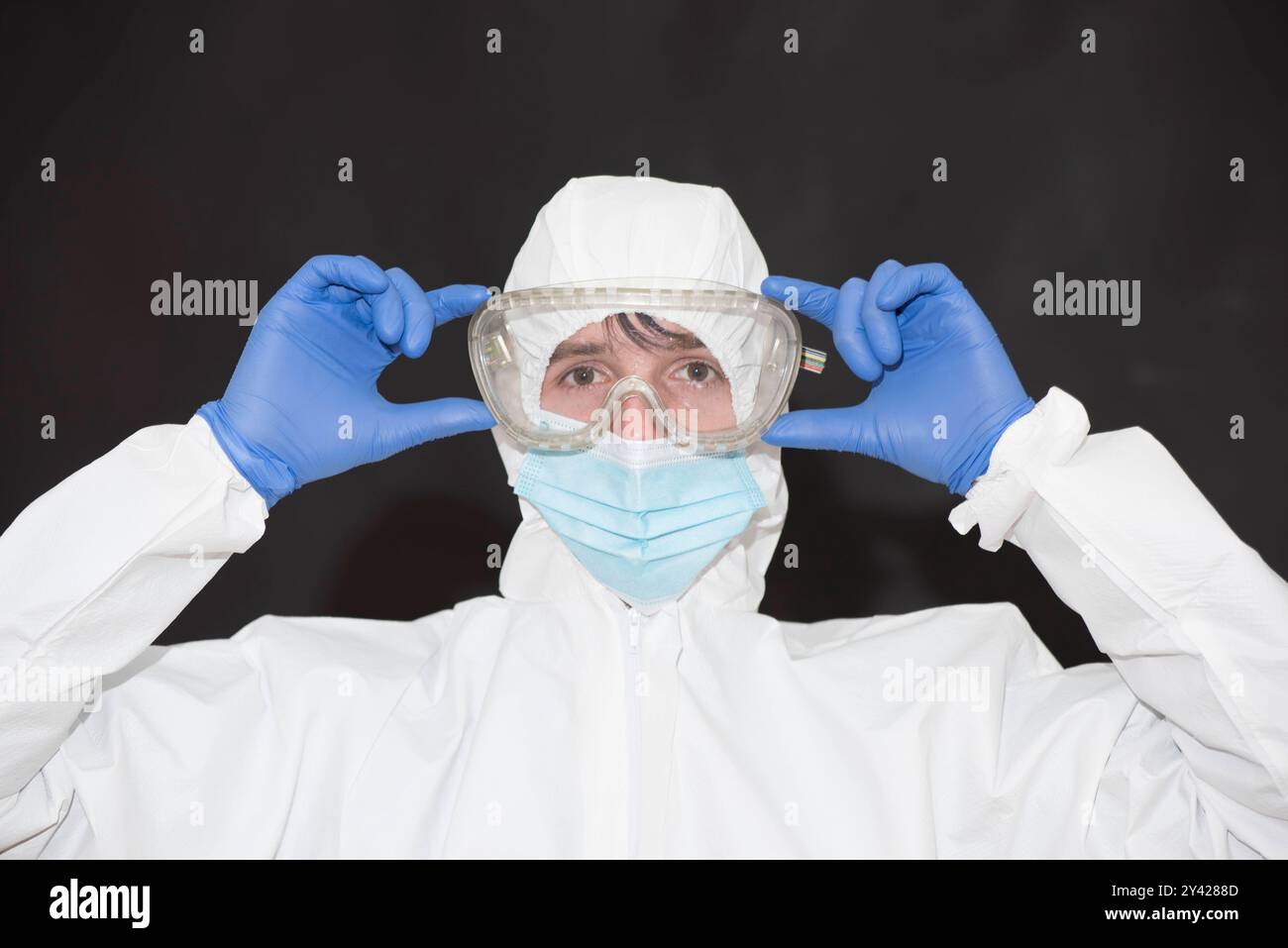 scientific examination and analysis in a hygiene laboratory in a ...